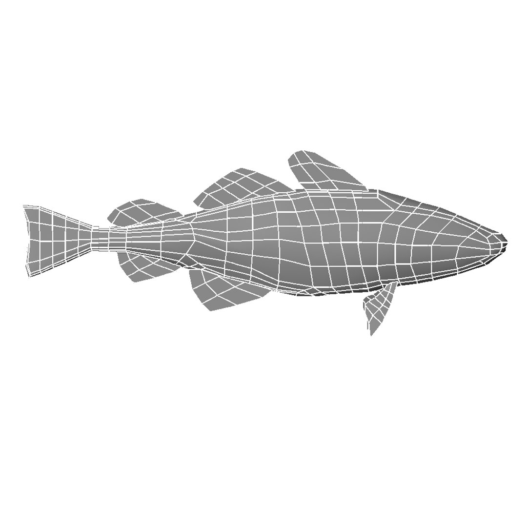 Atlantic cod 3D model - TurboSquid 1261283