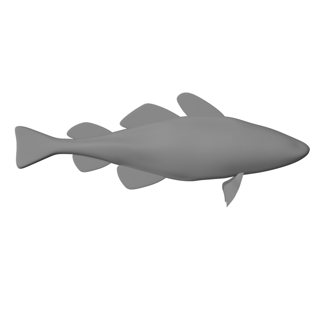 Atlantic cod 3D model - TurboSquid 1261283