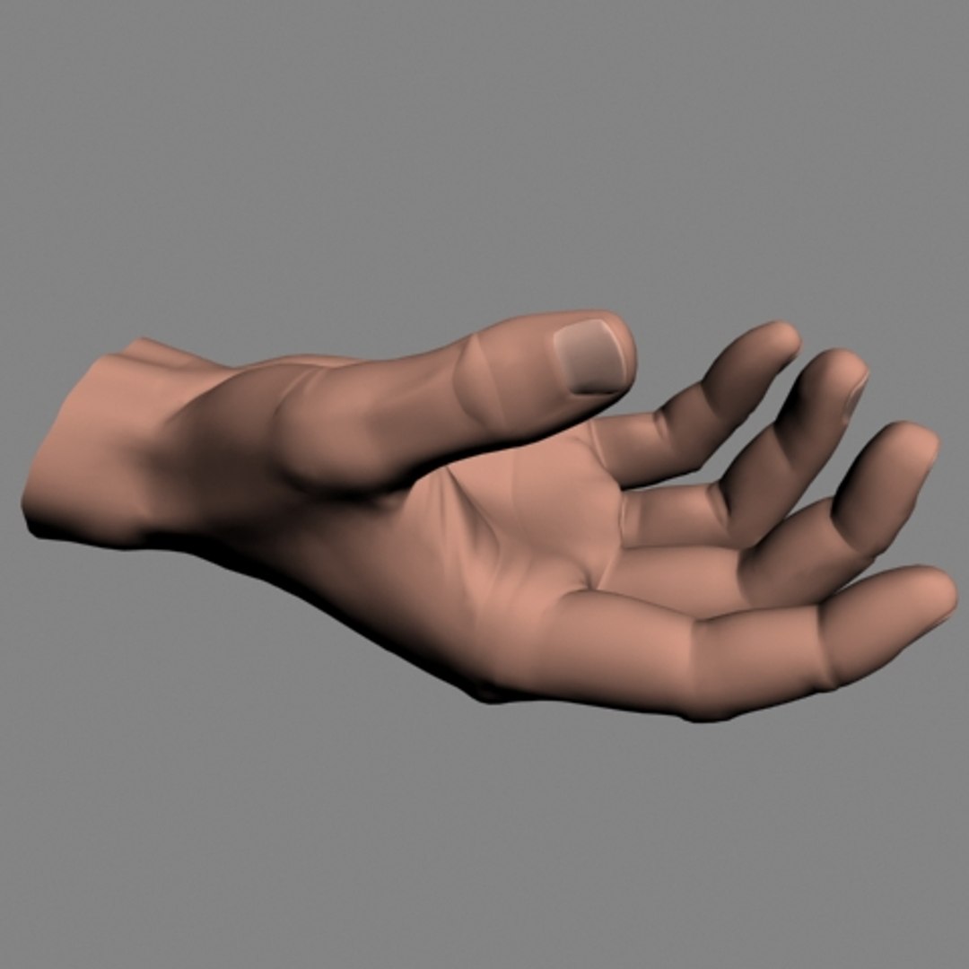 Male Hand 3d Model
