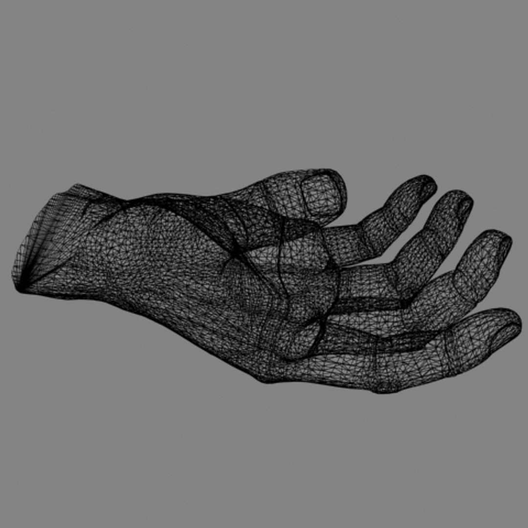 Male Hand 3d Model