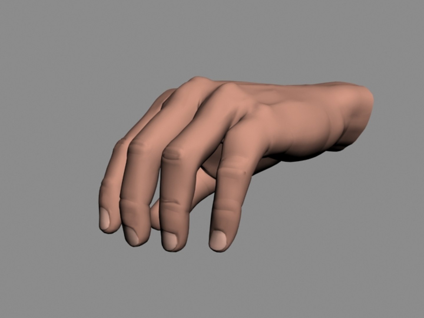 Male Hand 3d Model