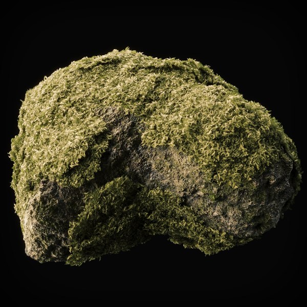 modelo 3d Moss Low Poly 12 - TurboSquid 1535015