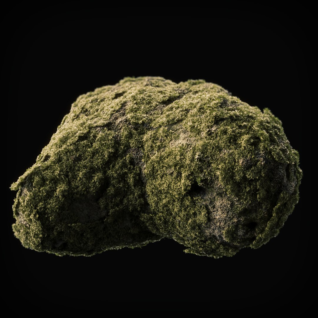 3D model moss 12 - TurboSquid 1535015