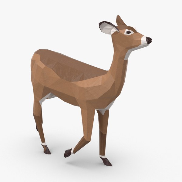 Doe 3D Models for Download | TurboSquid