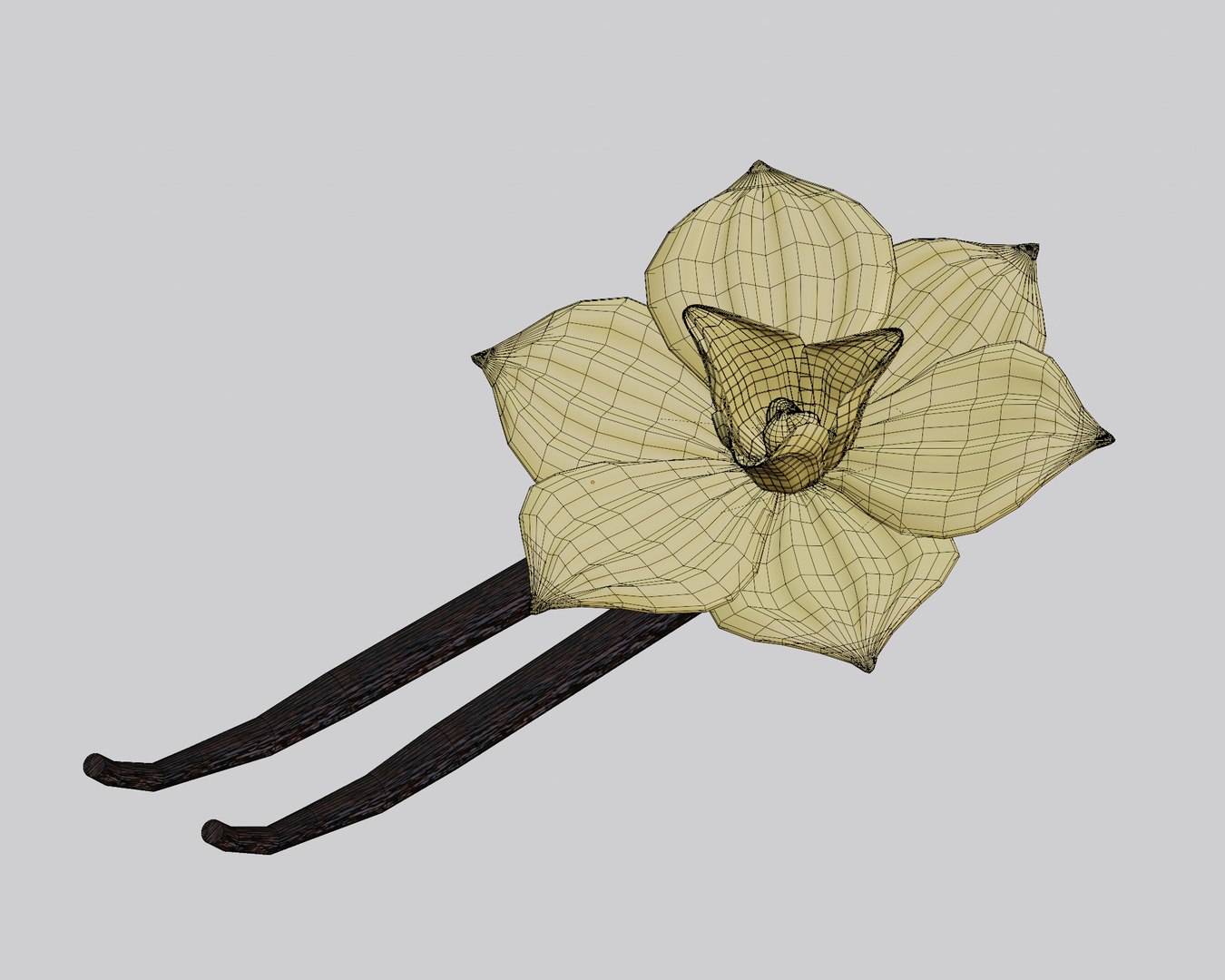 3D Vanilla Flower - TurboSquid 2167063