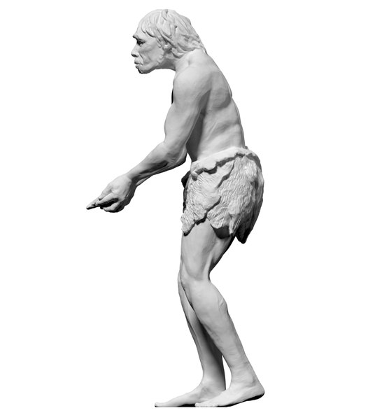 scan homo heidelbergensis obj free