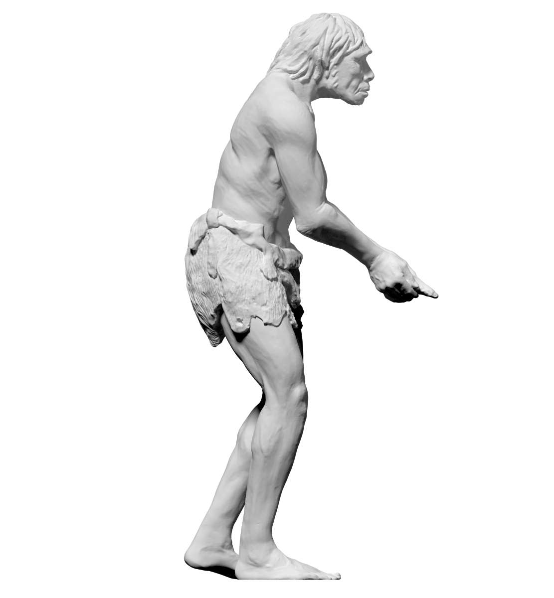 scan homo heidelbergensis obj free