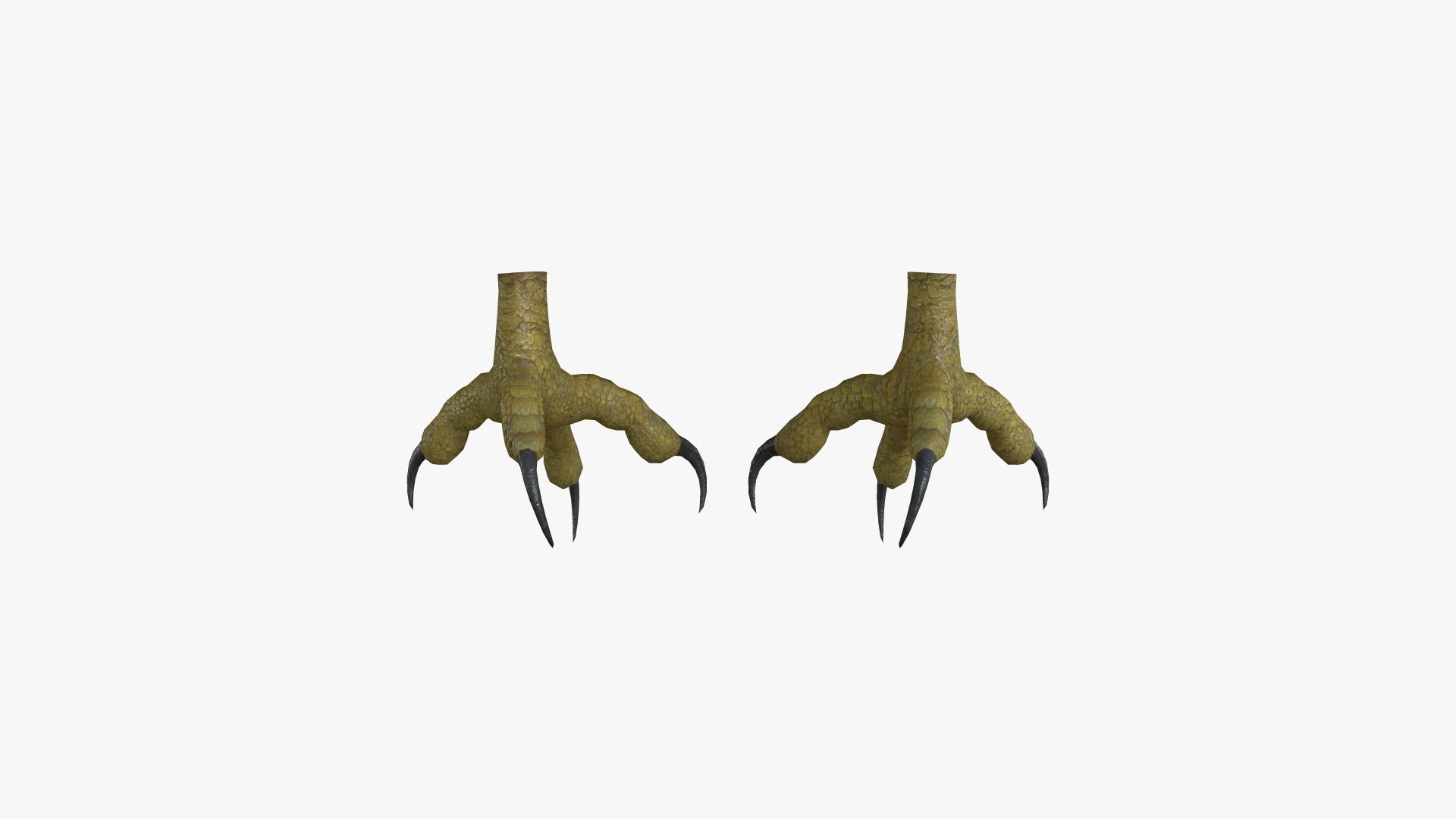 LEG-005 Rigged Bird Feet 3D - TurboSquid 2147484