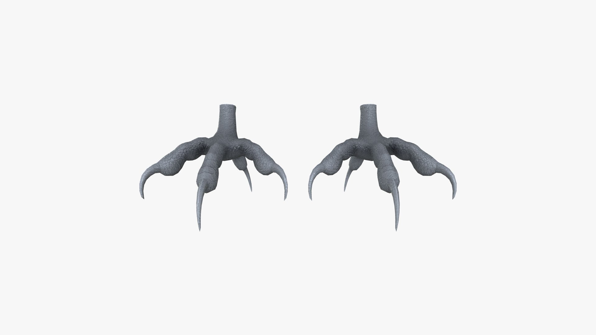 LEG-005 Rigged Bird Feet 3D - TurboSquid 2147484