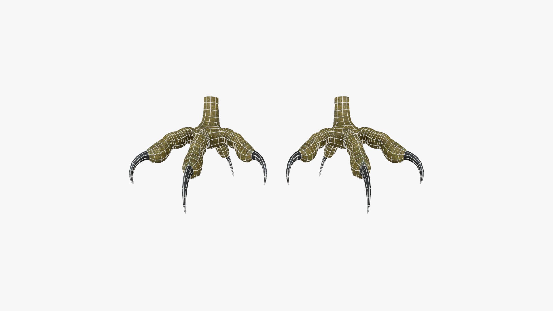 LEG-005 Rigged Bird Feet 3D - TurboSquid 2147484