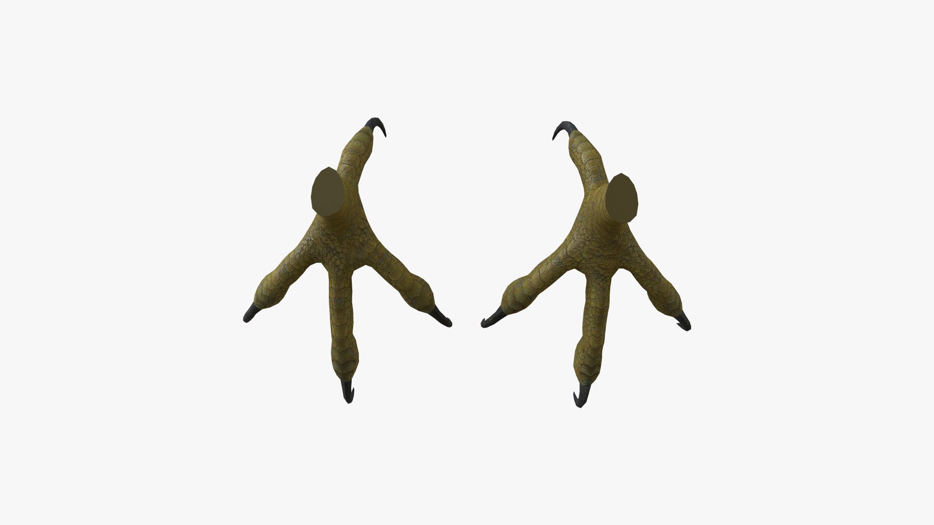 LEG-005 Rigged Bird Feet 3D - TurboSquid 2147484