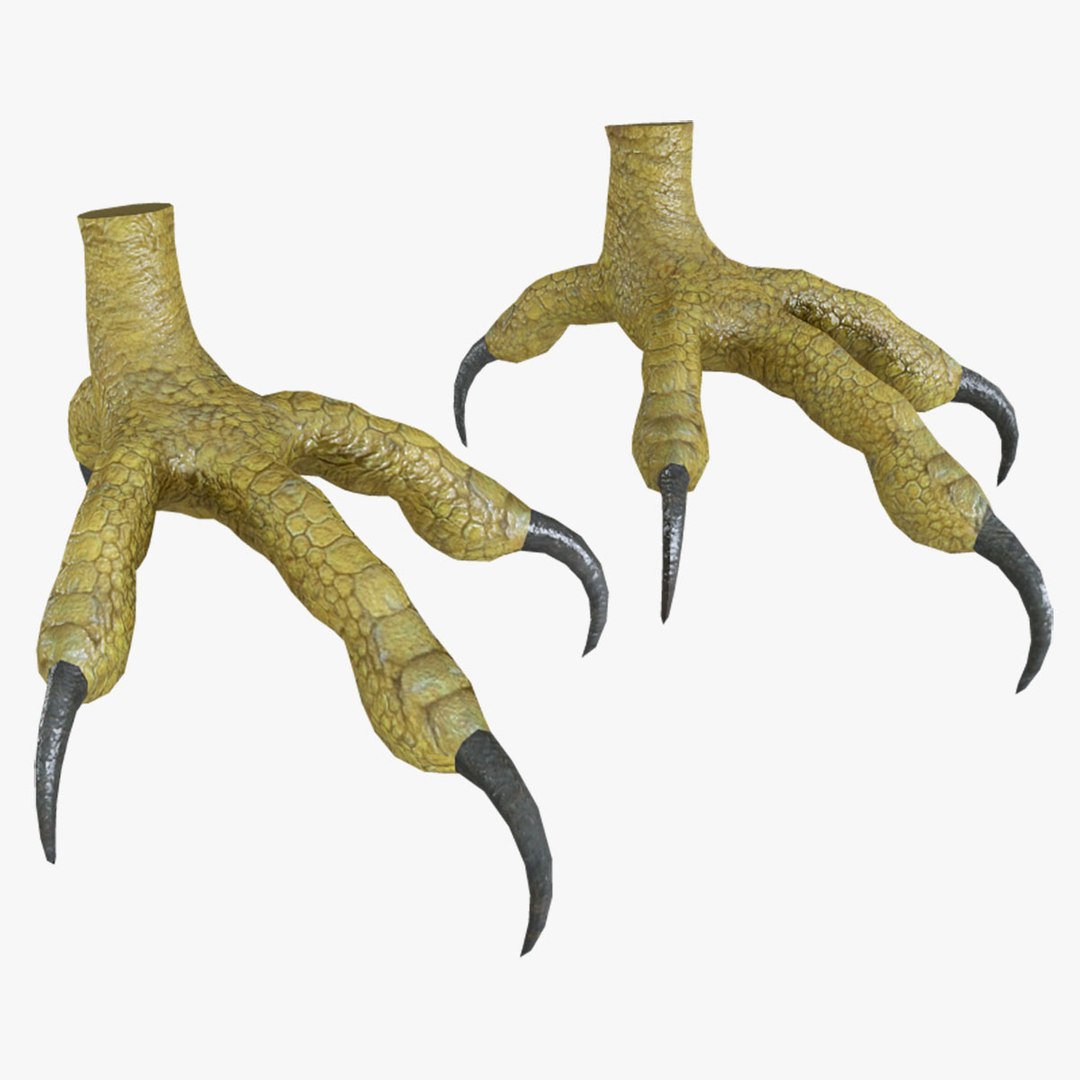 LEG-005 Rigged Bird Feet 3D - TurboSquid 2147484