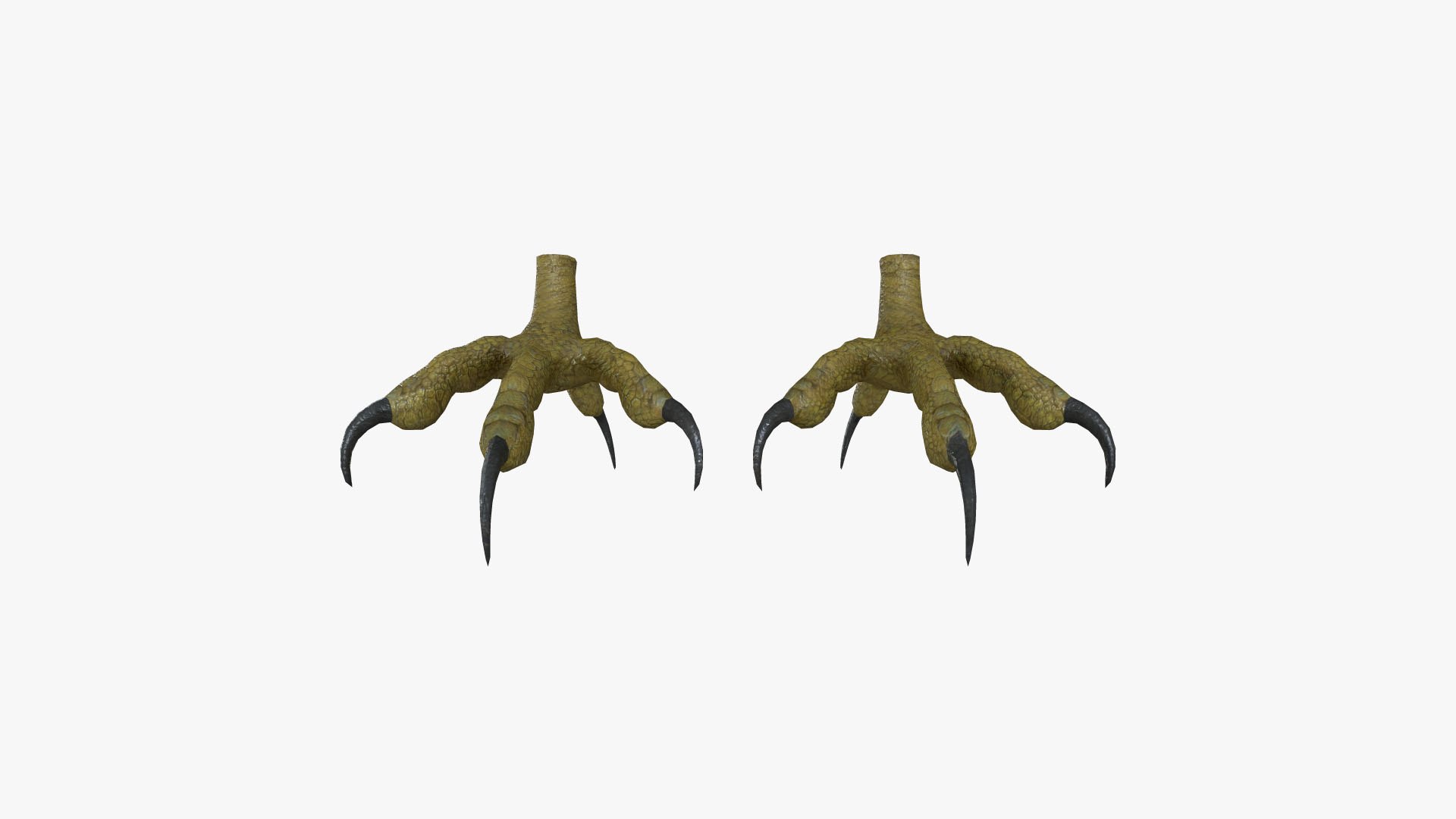 LEG-005 Rigged Bird Feet 3D - TurboSquid 2147484