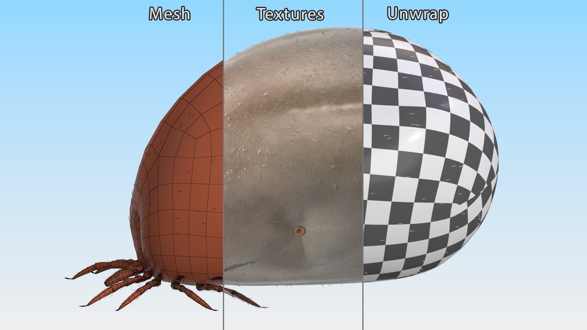 Bloated Tick Fur Rigged Model - TurboSquid 2335663