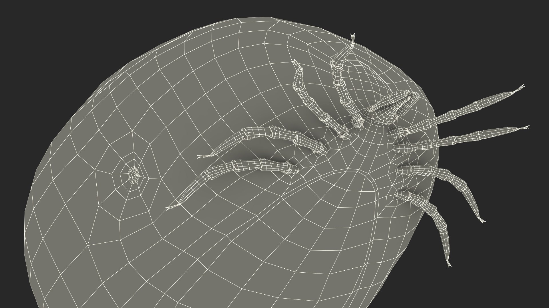 Bloated Tick Fur Rigged Model - TurboSquid 2335663