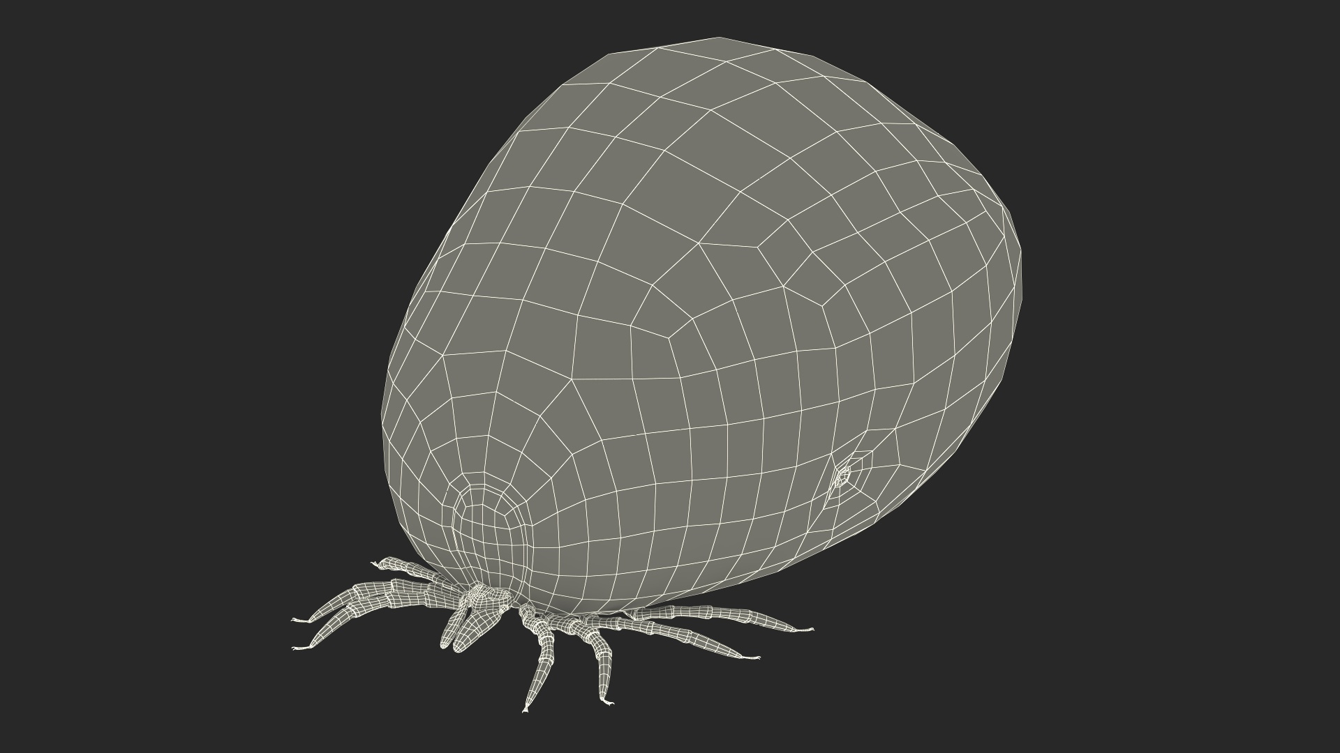 Bloated Tick Fur Rigged Model - TurboSquid 2335663