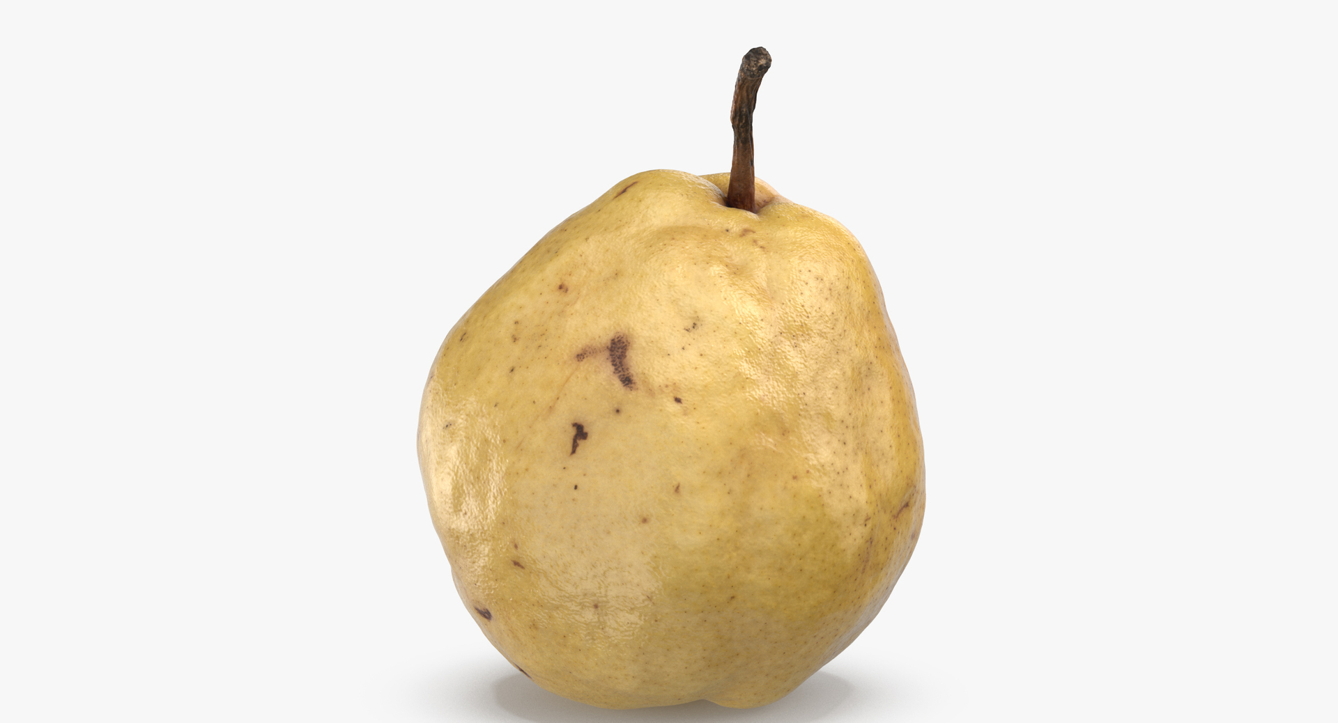 3D Model Comice Pear 05 - TurboSquid 1406776