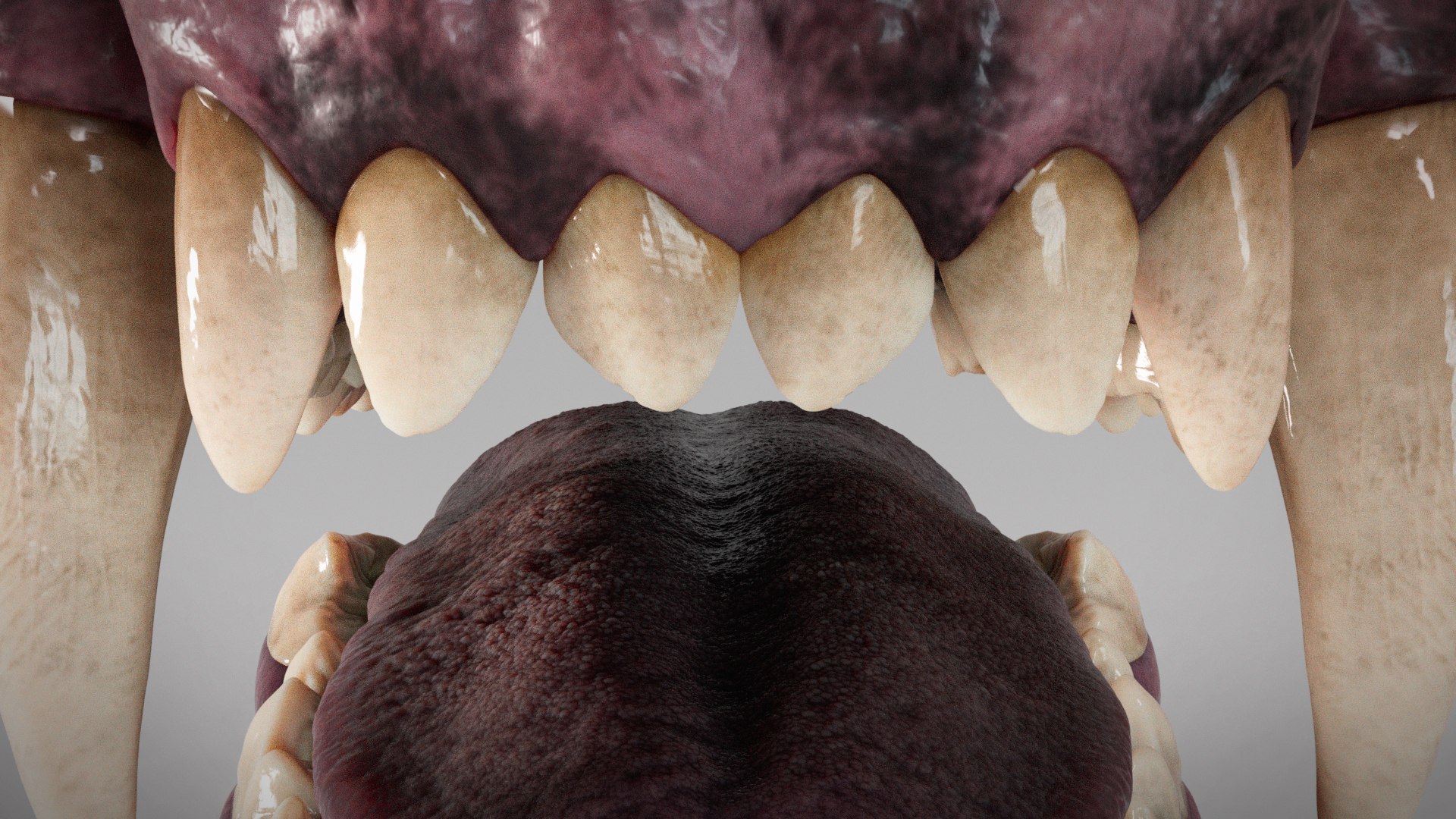 Polar Bear Mouth Anatomy 3D Model - TurboSquid 2417608