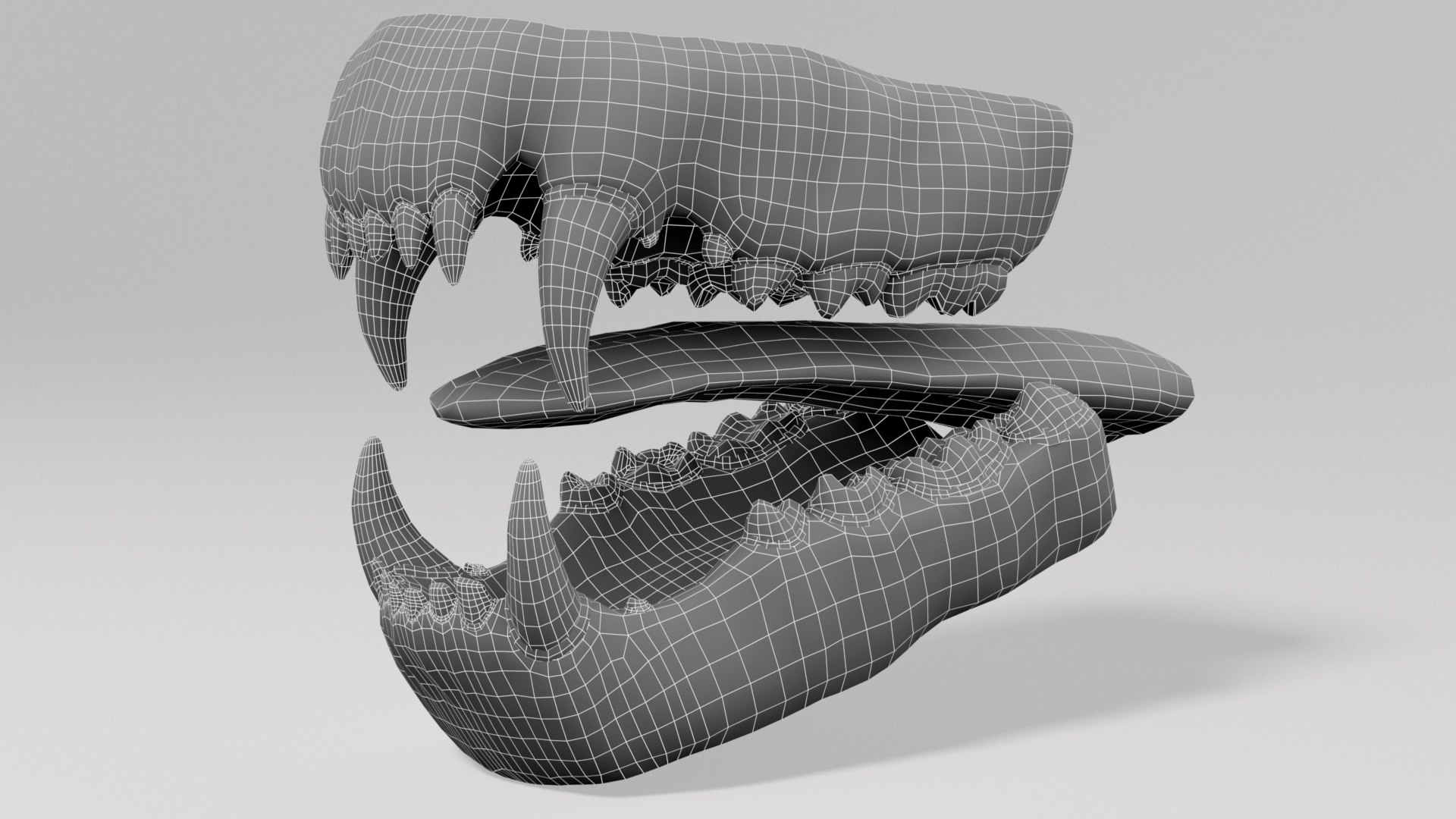 Polar Bear Mouth Anatomy 3D Model - TurboSquid 2417608