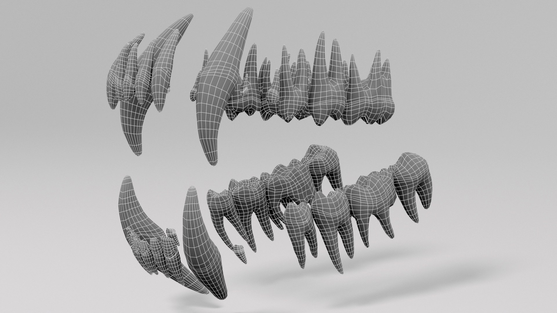 Polar Bear Mouth Anatomy 3D Model - TurboSquid 2417608