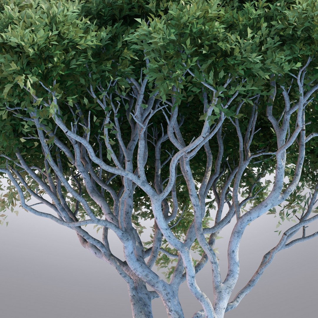 Hi Realistic Series Tree Max