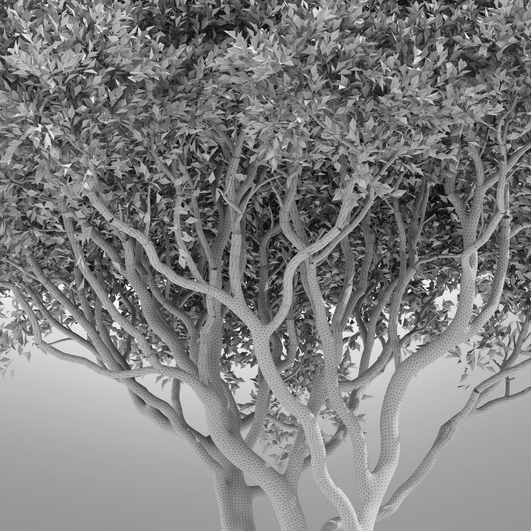 Hi Realistic Series Tree Max