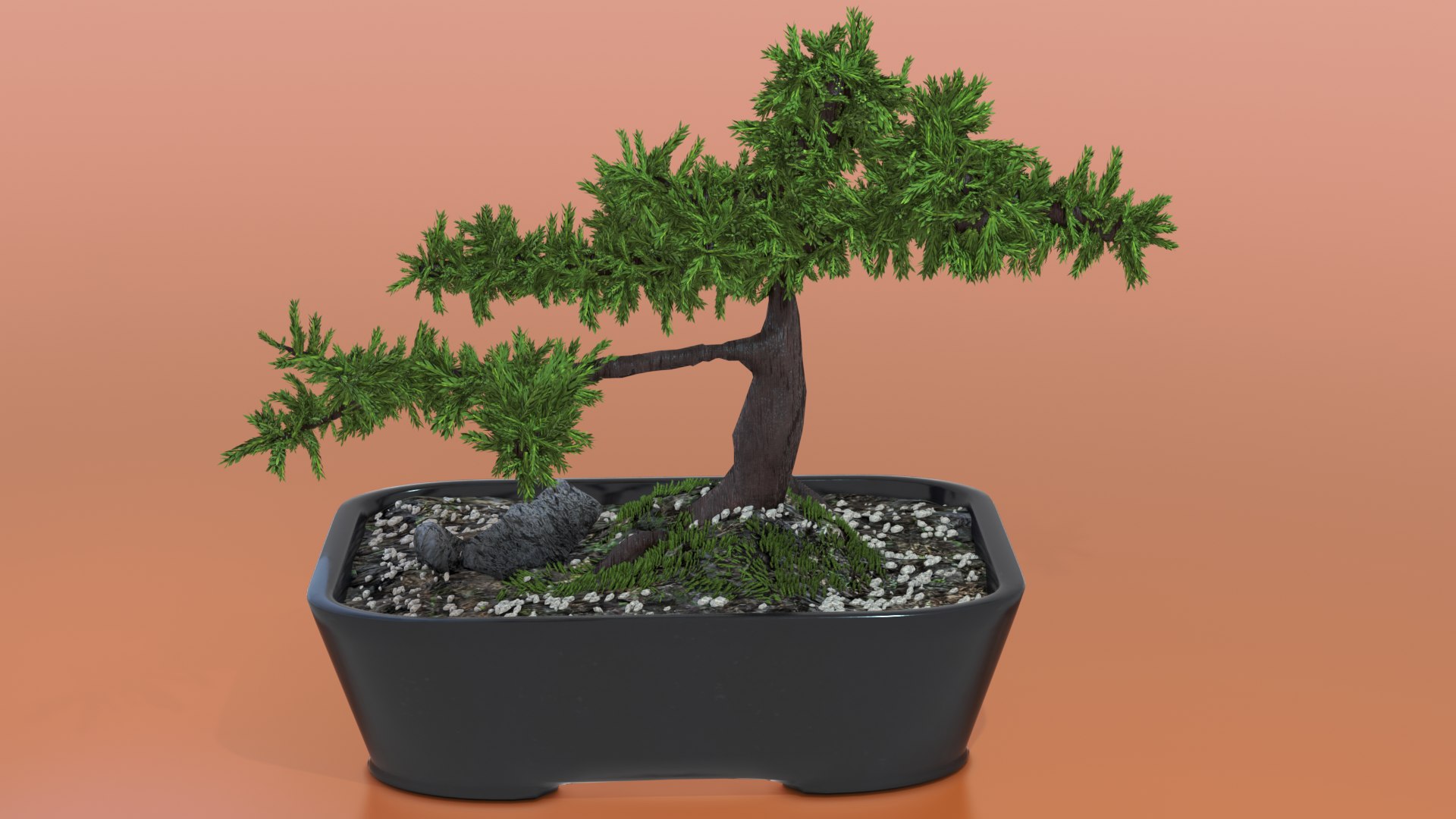 Bonsai Model - TurboSquid 1954071