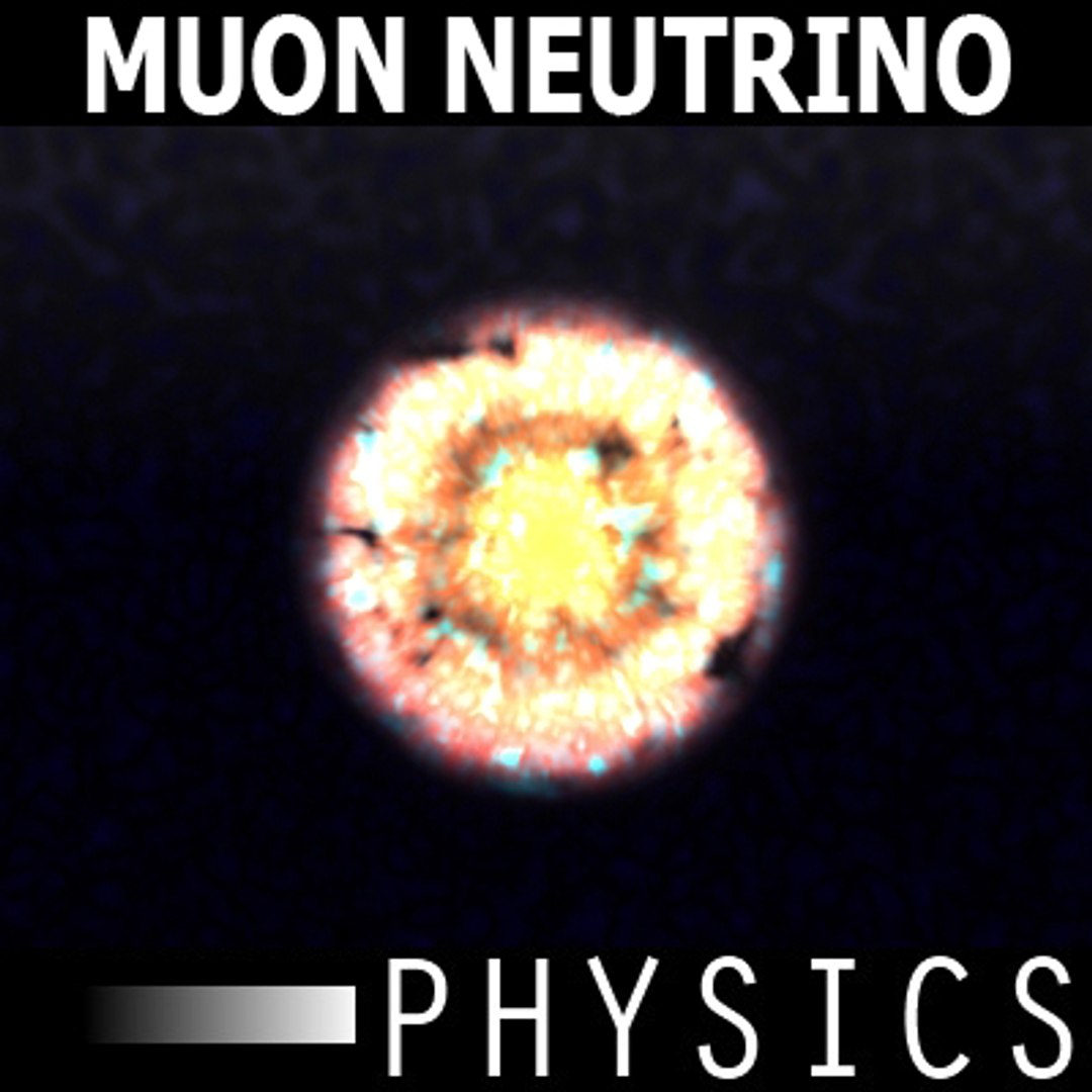 3ds max muon neutrino physics