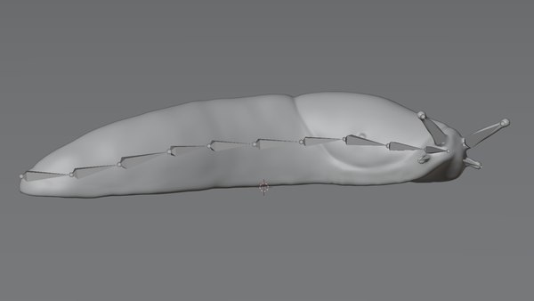 Black Slug Rigged 3D - TurboSquid 1771365