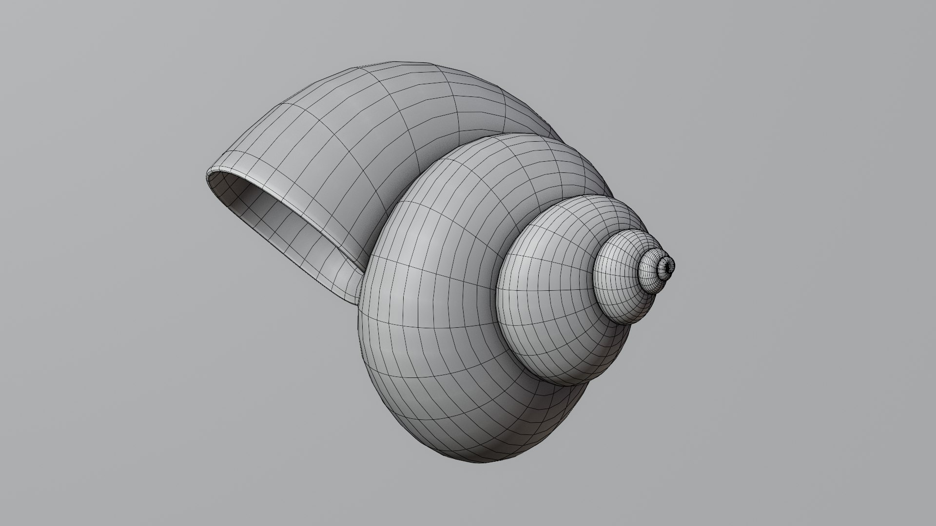 Seashell With Procedural Texture 3D - TurboSquid 2150302