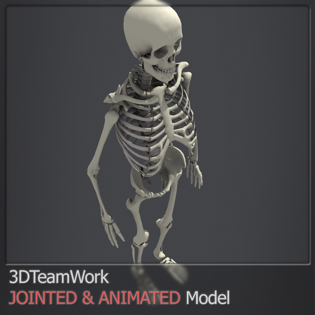 3d human skeleton jointed model