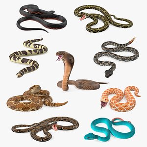3D Snake Models - Browse & Download Formats - TurboSquid