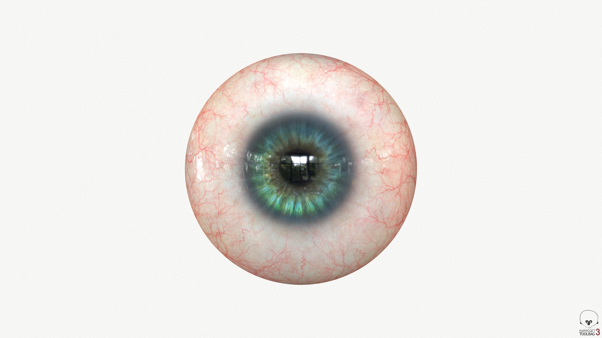 3D Model Eye Green 1 Real-time 4k Texture Marmoset Toolbag3 Maya FBX OBJ - TurboSquid 1983618