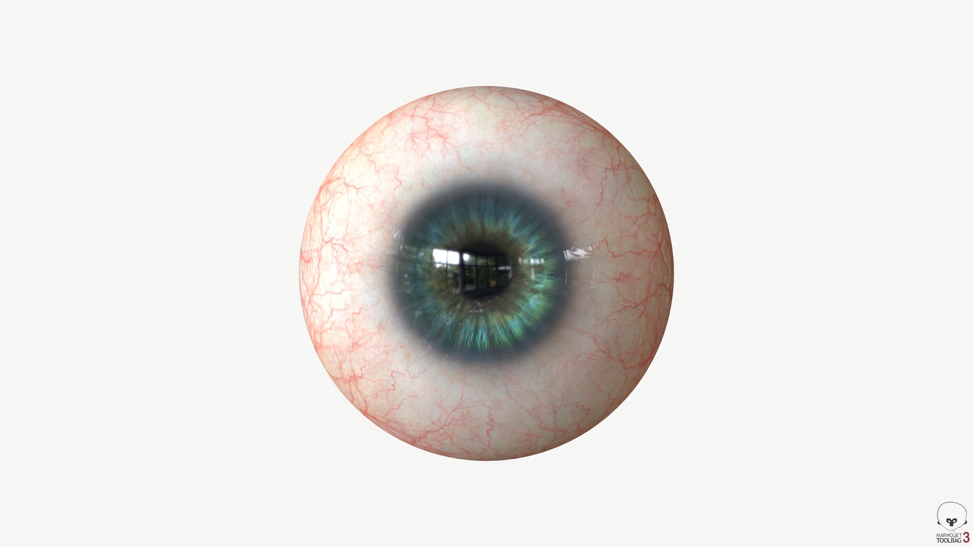 3D Model Eye Green 1 Real-time 4k Texture Marmoset Toolbag3 Maya FBX ...