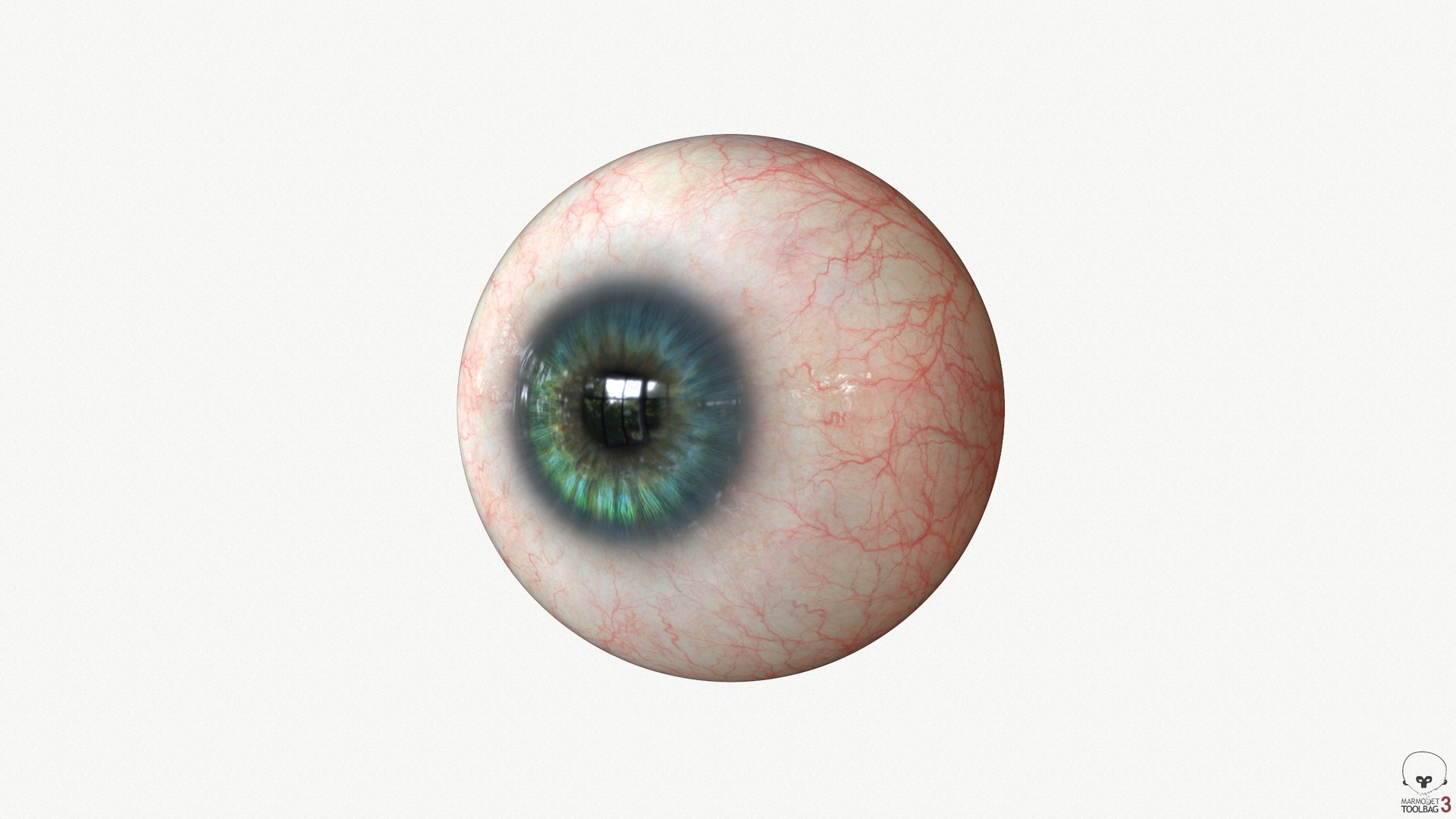3D Model Eye Green 1 Real-time 4k Texture Marmoset Toolbag3 Maya FBX ...