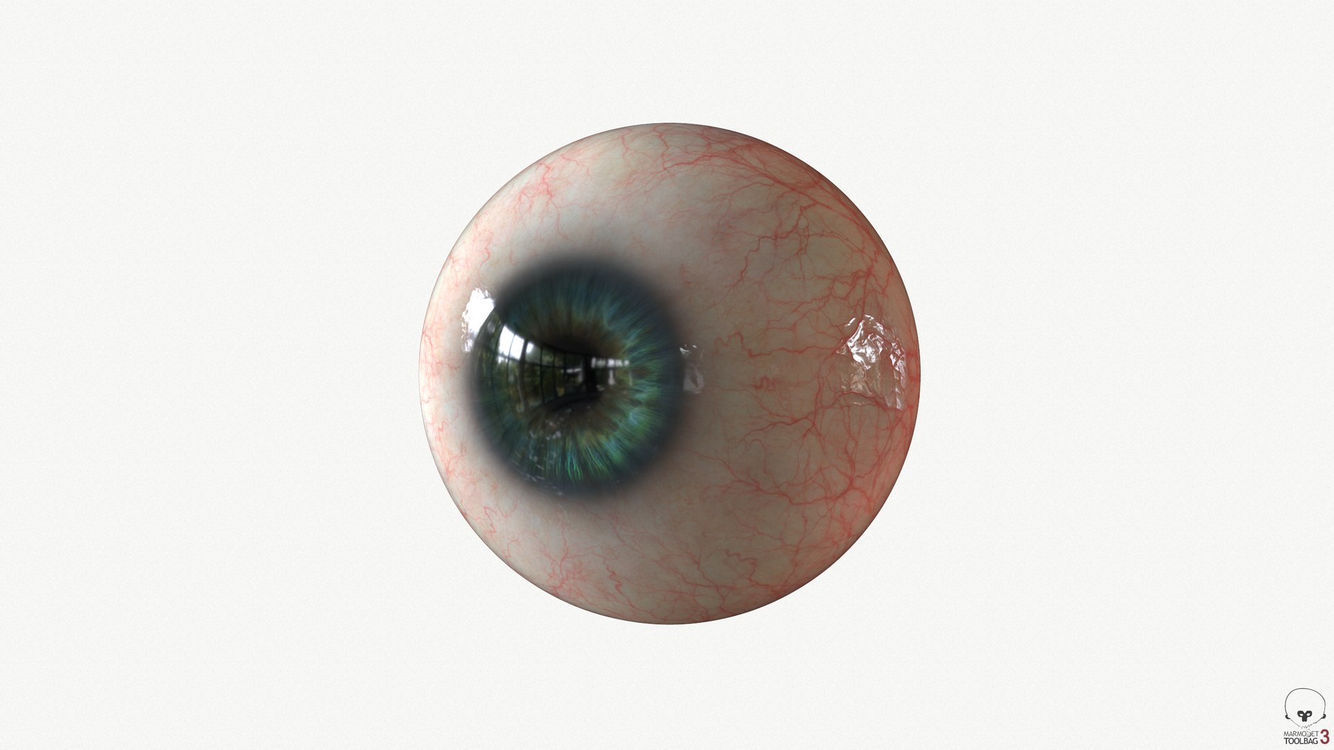 3D Model Eye Green 1 Real-time 4k Texture Marmoset Toolbag3 Maya FBX ...
