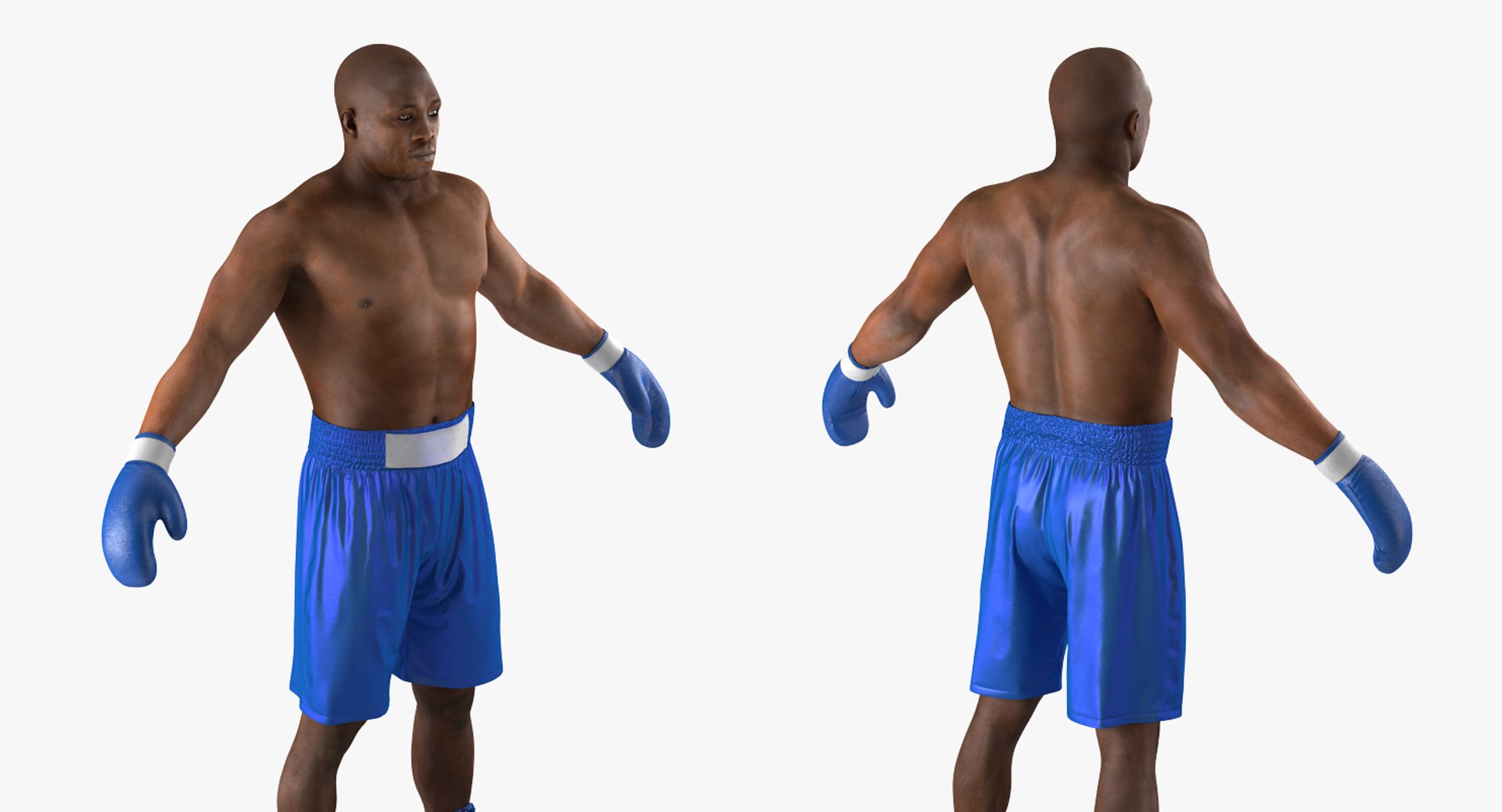 3d Model African American Boxer 2