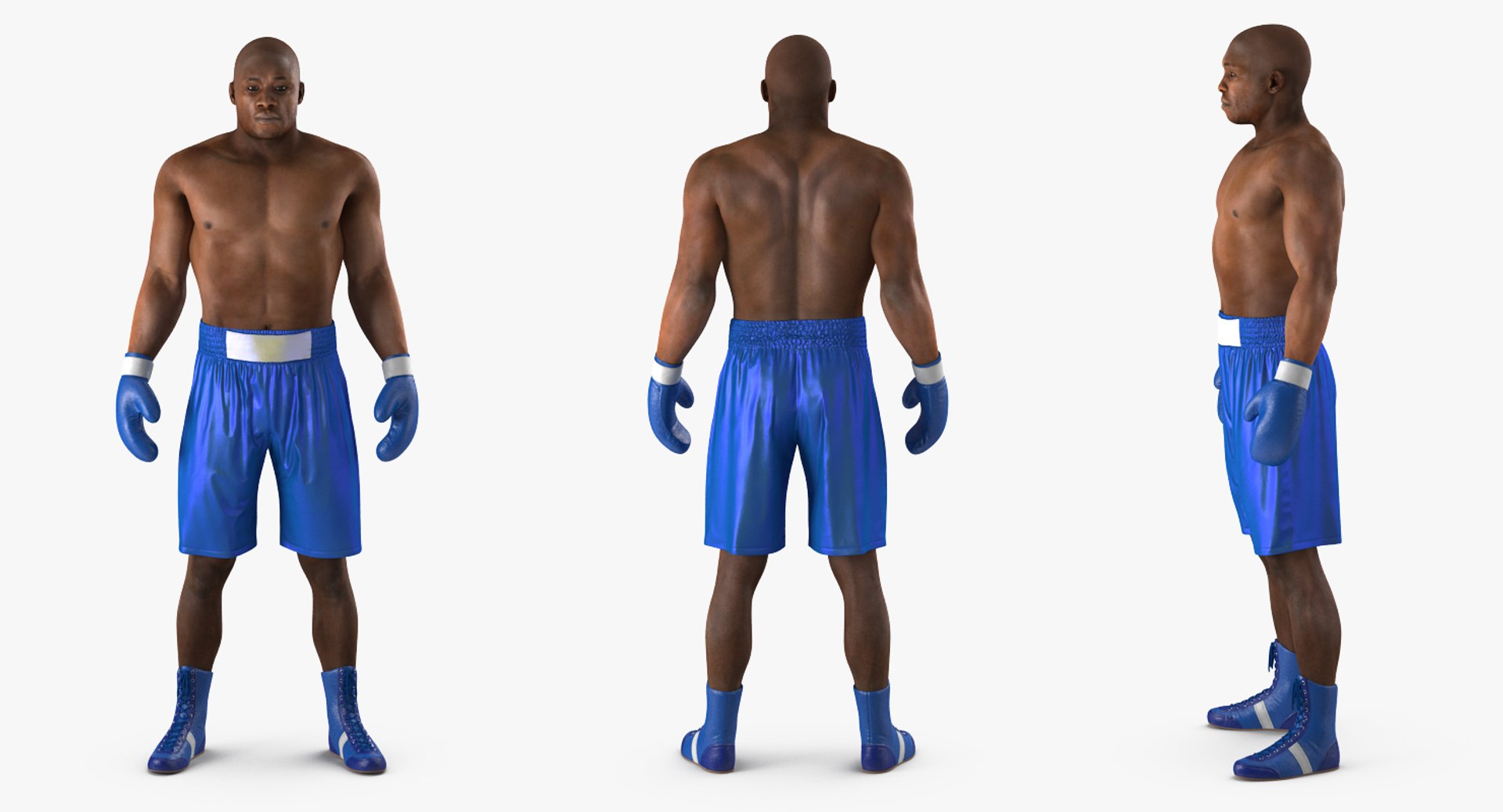 3d Model African American Boxer 2