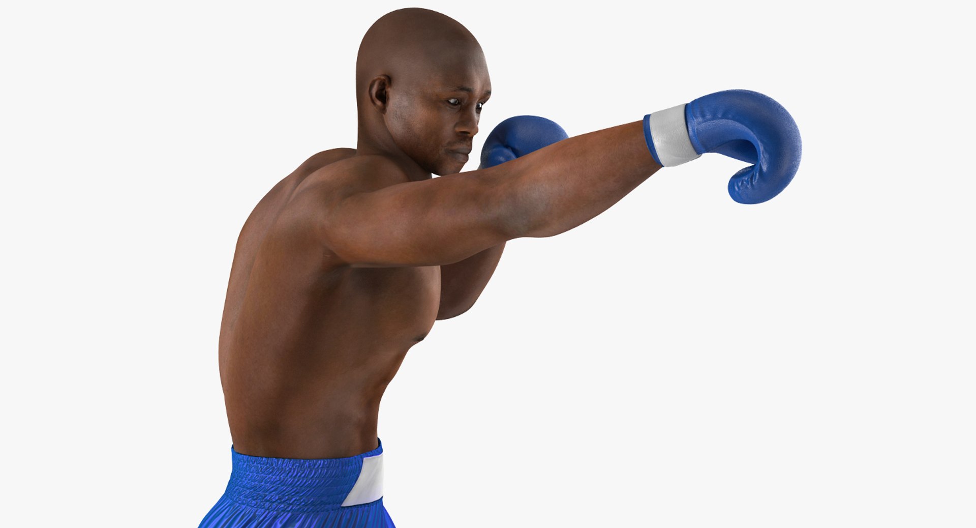 3d Model African American Boxer 2