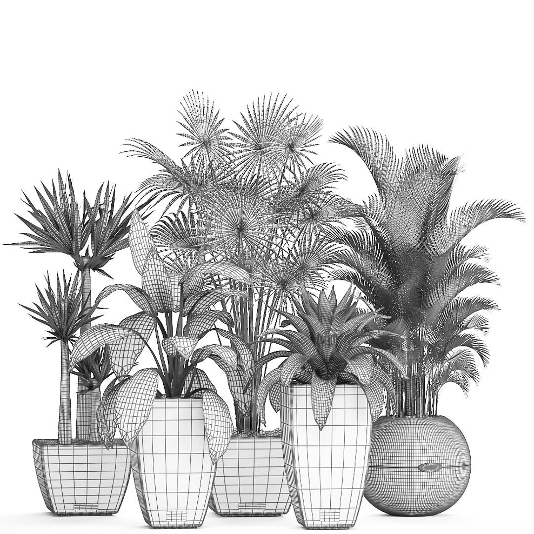 Plants pots model - TurboSquid 1298904