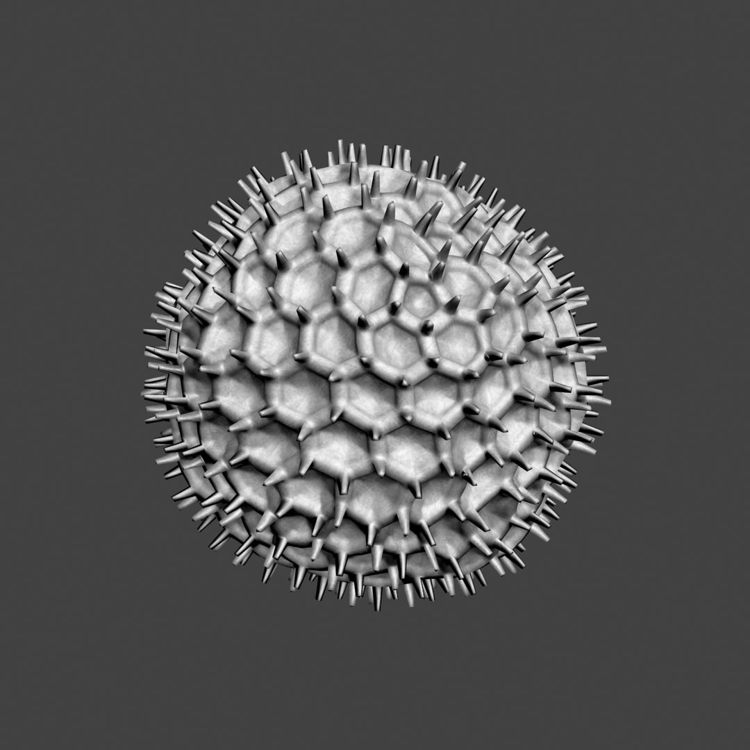 Dandelion pollen 3D - TurboSquid 1166200