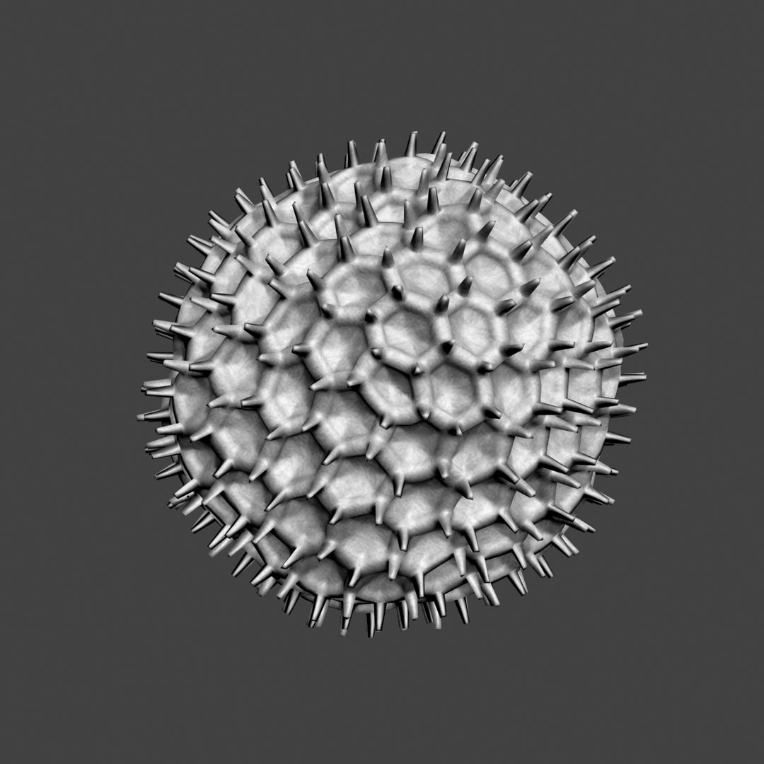 Dandelion pollen 3D - TurboSquid 1166200