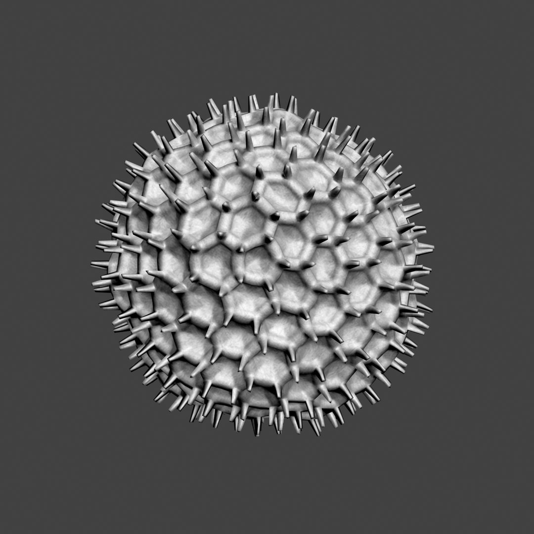 Dandelion pollen 3D - TurboSquid 1166200