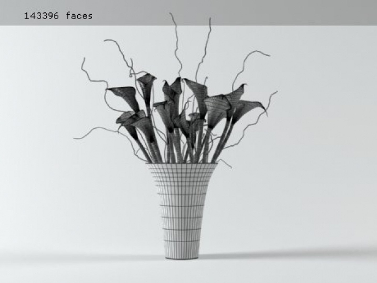 3D Model Calla Lily - TurboSquid 1177127