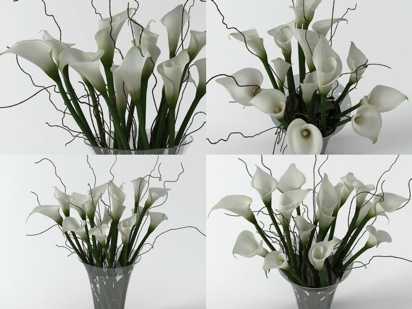 3D Model Calla Lily - TurboSquid 1177127