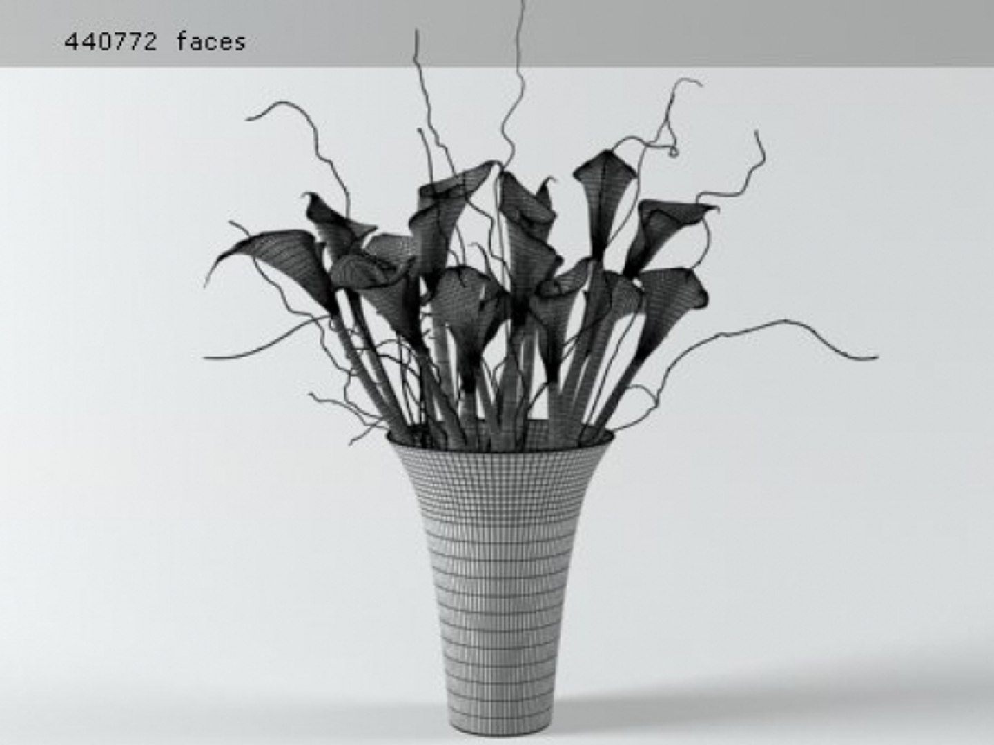 3D Model Calla Lily - TurboSquid 1177127