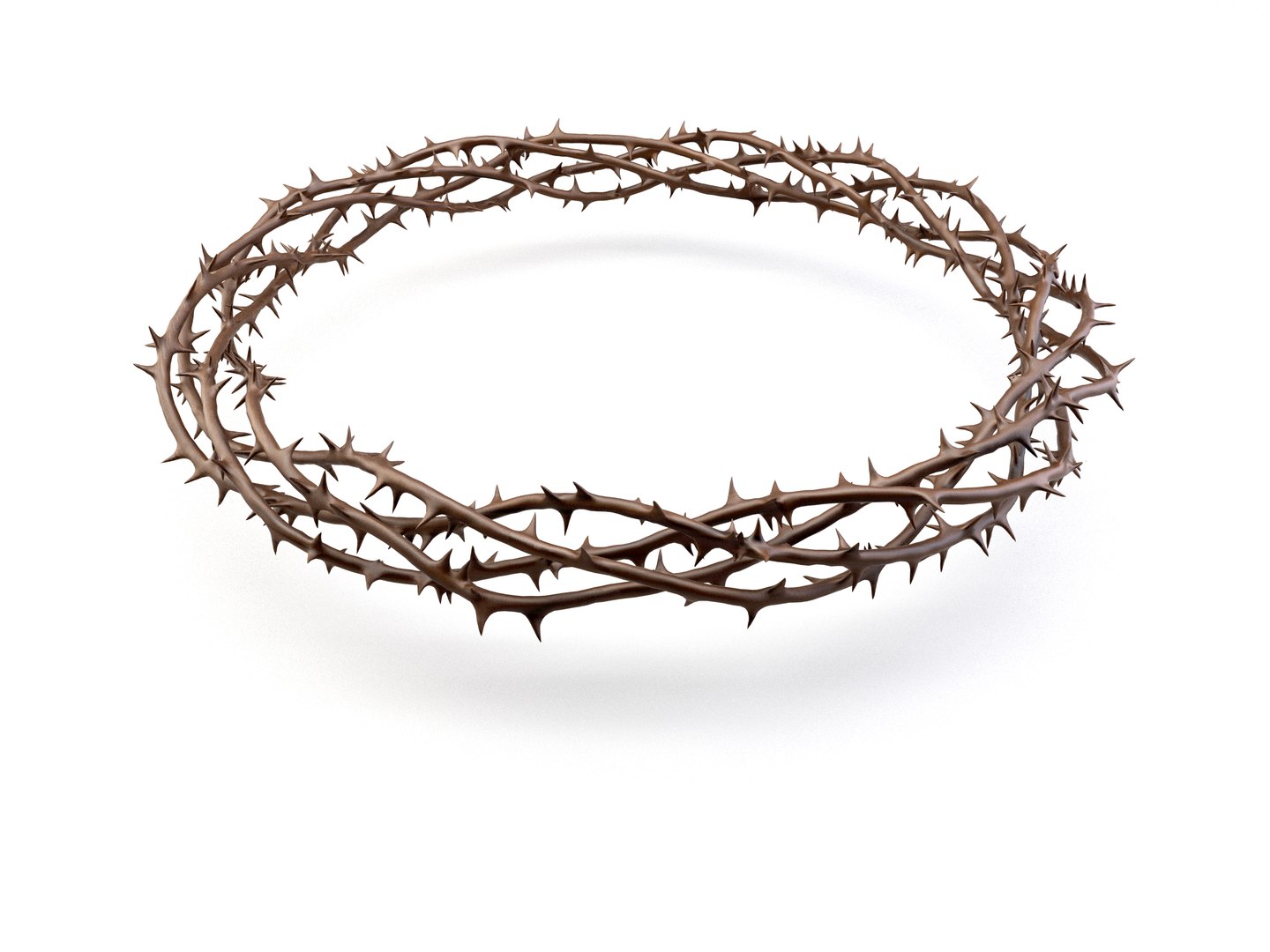 Crown Of Thorns 1 3D Model - TurboSquid 2003488