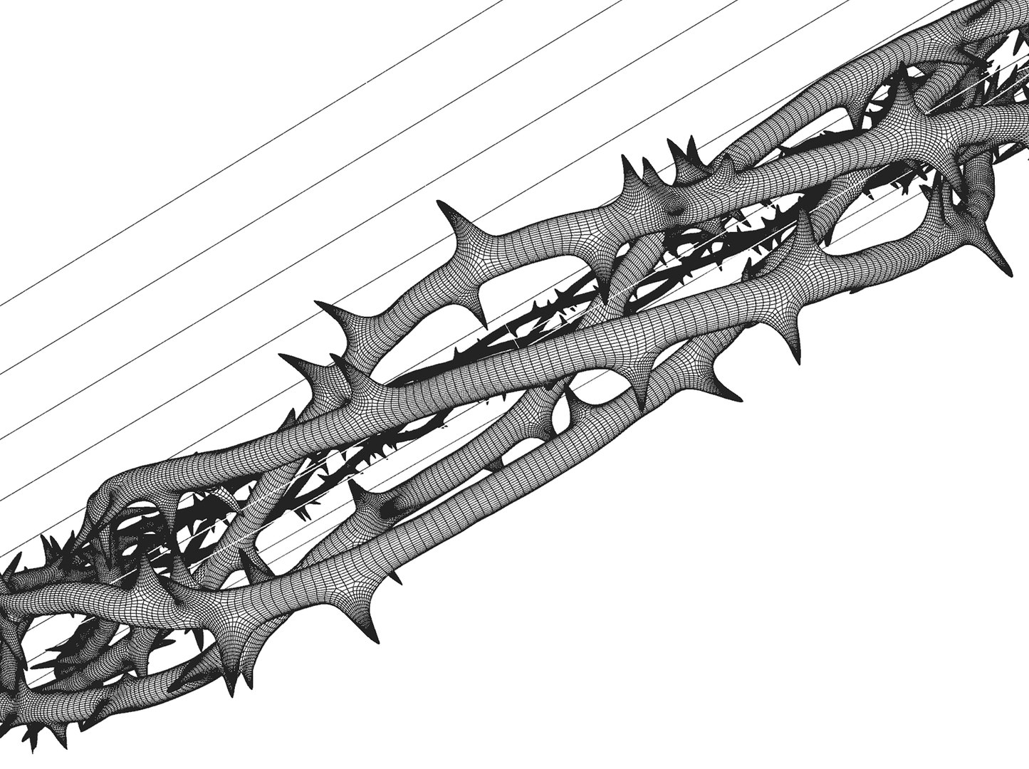 Crown Of Thorns 1 3D Model - TurboSquid 2003488