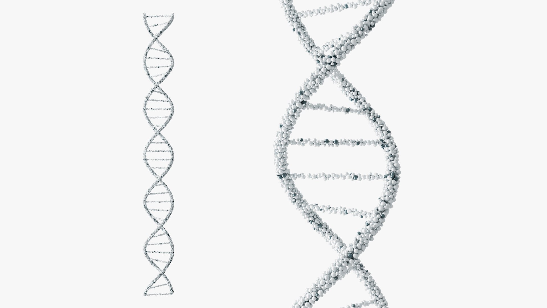 DNA Balls 3D Model - TurboSquid 2240014