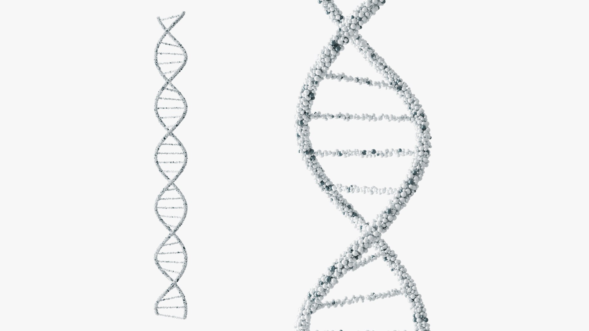 DNA Balls 3D Model - TurboSquid 2240014